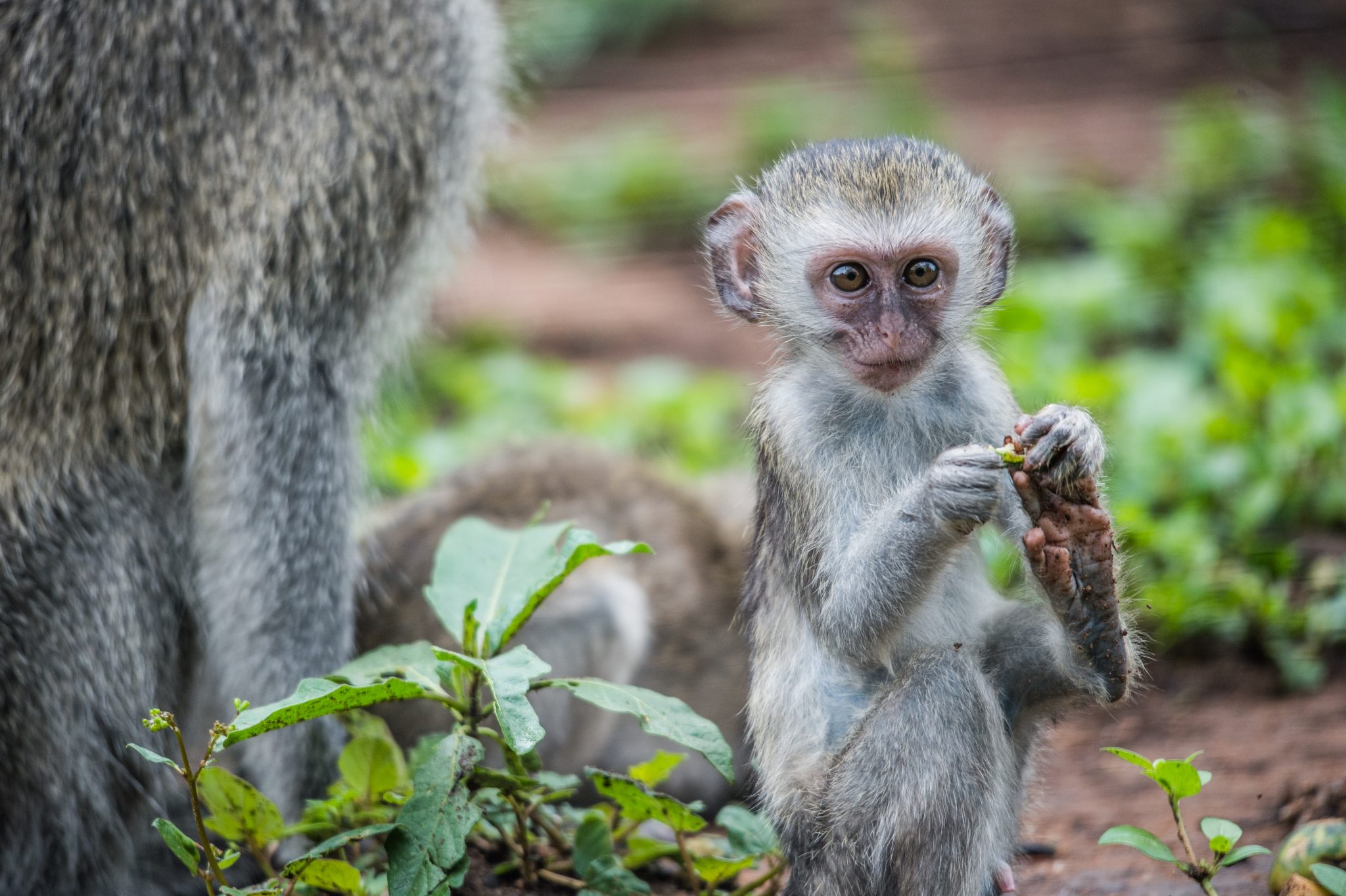 Josie Humble - Unbound Project