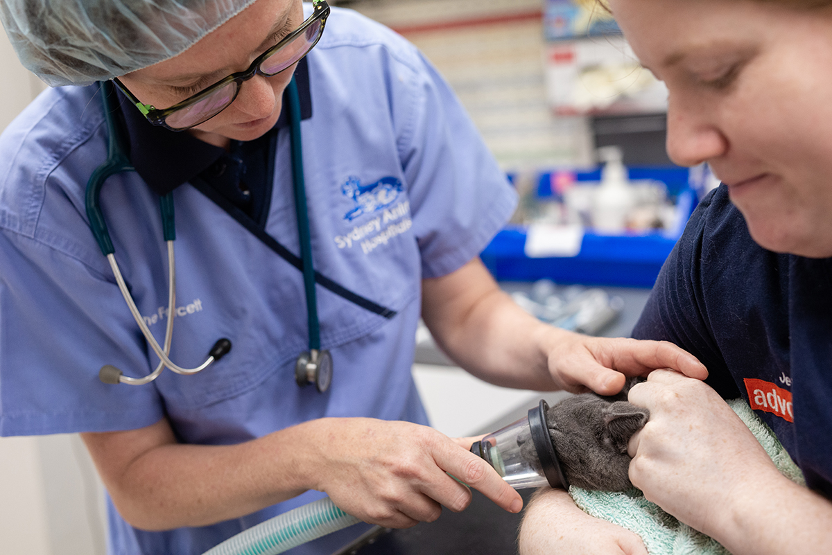 Anne Quain - Unbound Project